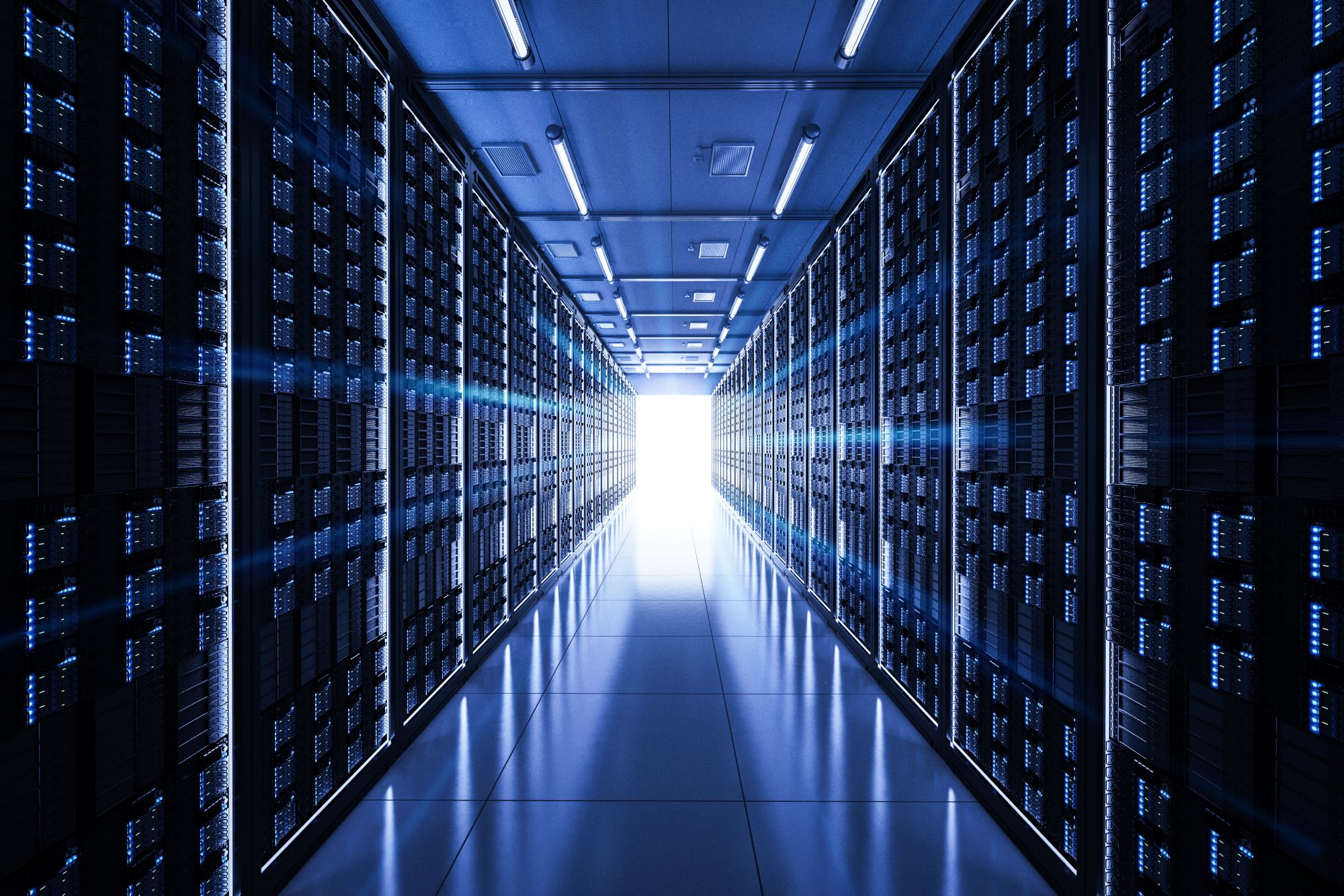 Data Is The Currency Of Competitive Advantage Terra Firma Business